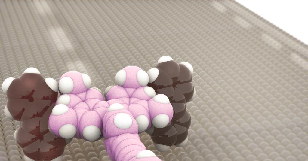 Molecular motors power on | Feature | RSC Education