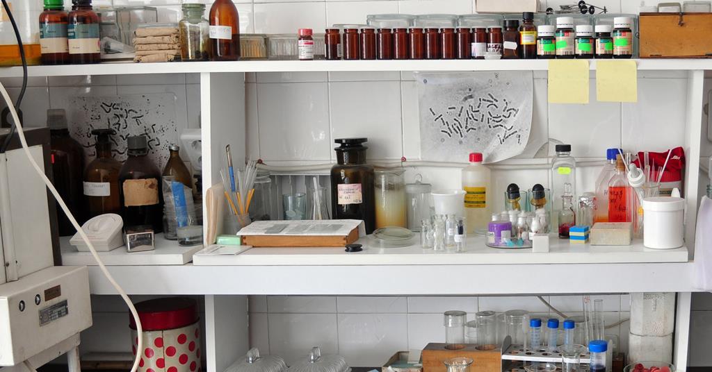 12 top tips for safe science in your school | Ideas | RSC Education