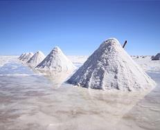 Chemicals from Salt | Resource | RSC Education