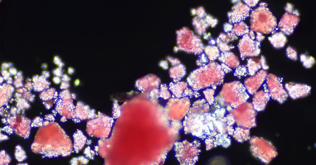 High levels of nanoplastics found in bottled water | News | RSC Education