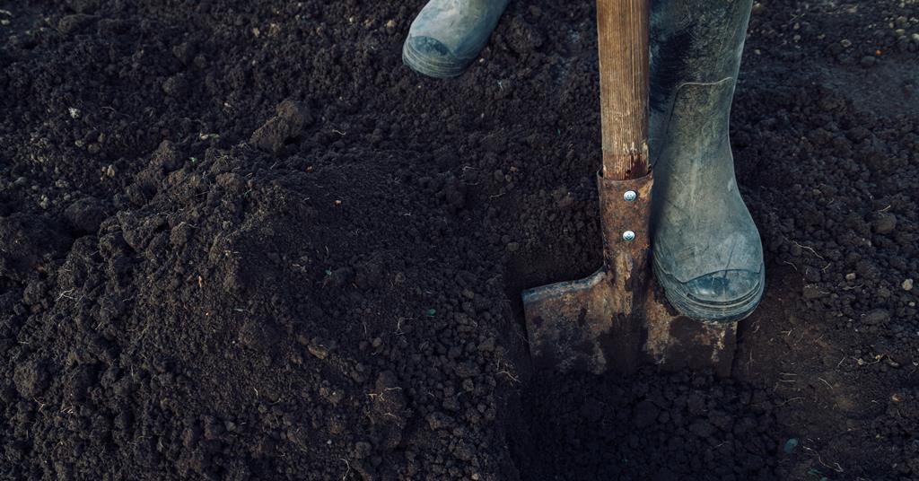 Soil scientist | Job profile | RSC Education