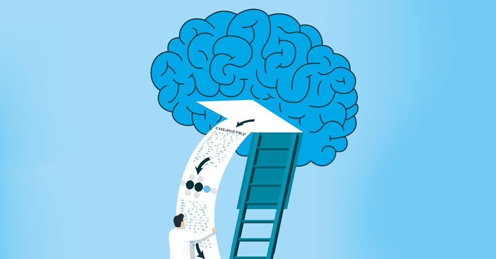 7 steps to successful revision strategies | Ideas | RSC Education