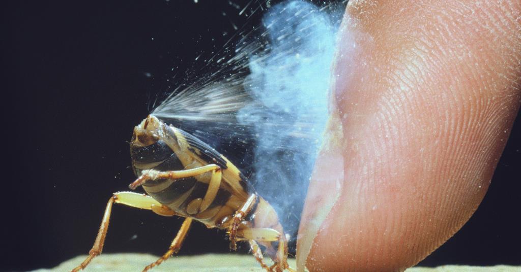 Reaction profile diagrams and bombardier beetles | 14–16 years ...