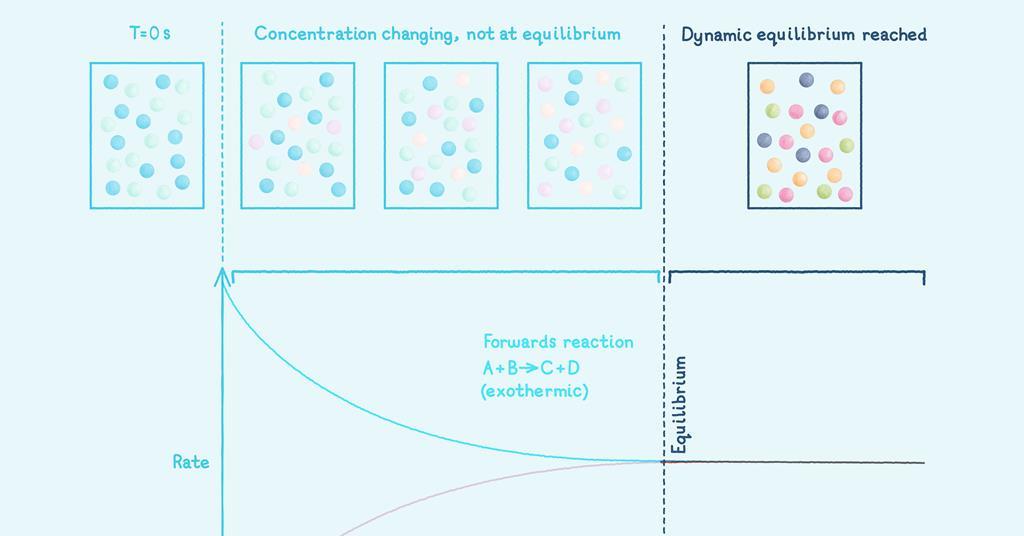 Help learners master equilibrium and reversible reactions | Poster ...