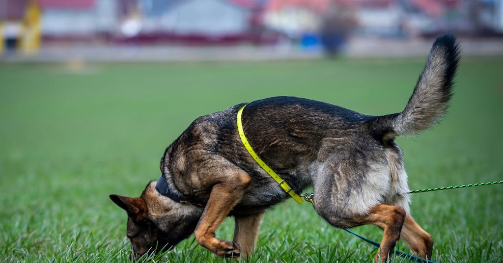 Crime-busting chemical analysis | Feature | RSC Education