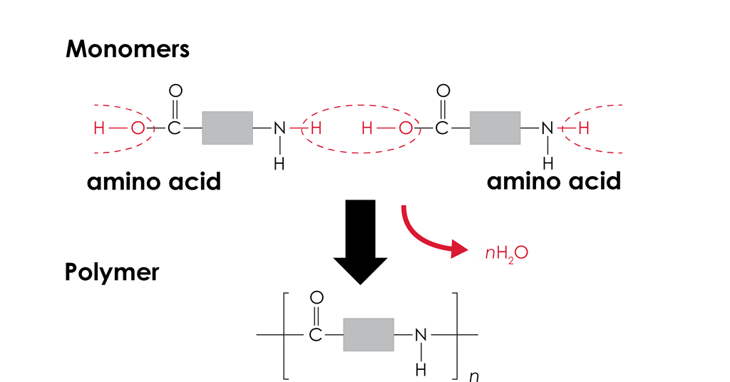 condensation polymerisation