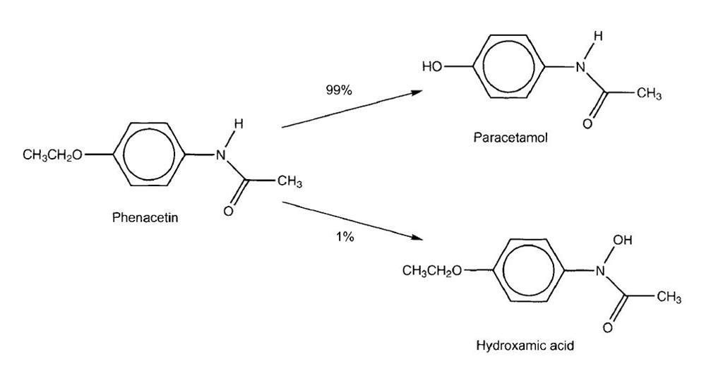 paracetamol structure