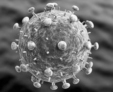 On This Day - Mar 29 : New electron microscope | Resource | RSC Education