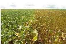 Organic chemists: contributing to food production | 16–18 years ...