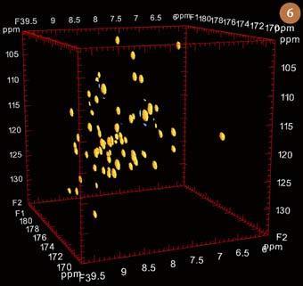 The power of NMR: in two and three dimensions | Feature | RSC Education