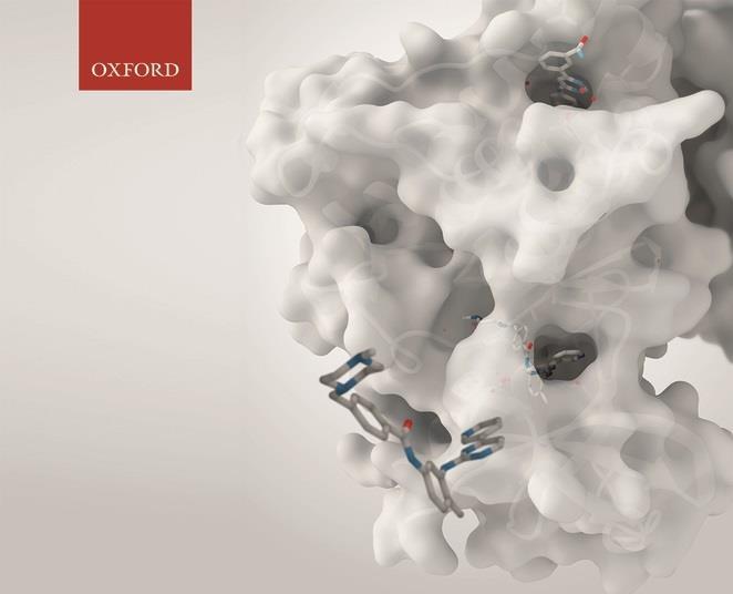 Making every science lesson count | Review | RSC Education