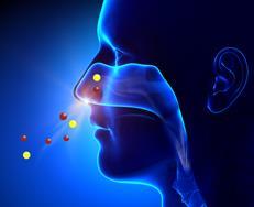 Chemistry stinks - class smelling activity | Resource | RSC Education