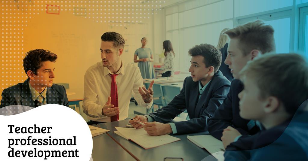 What teacher professional development support is available from the RSC ...