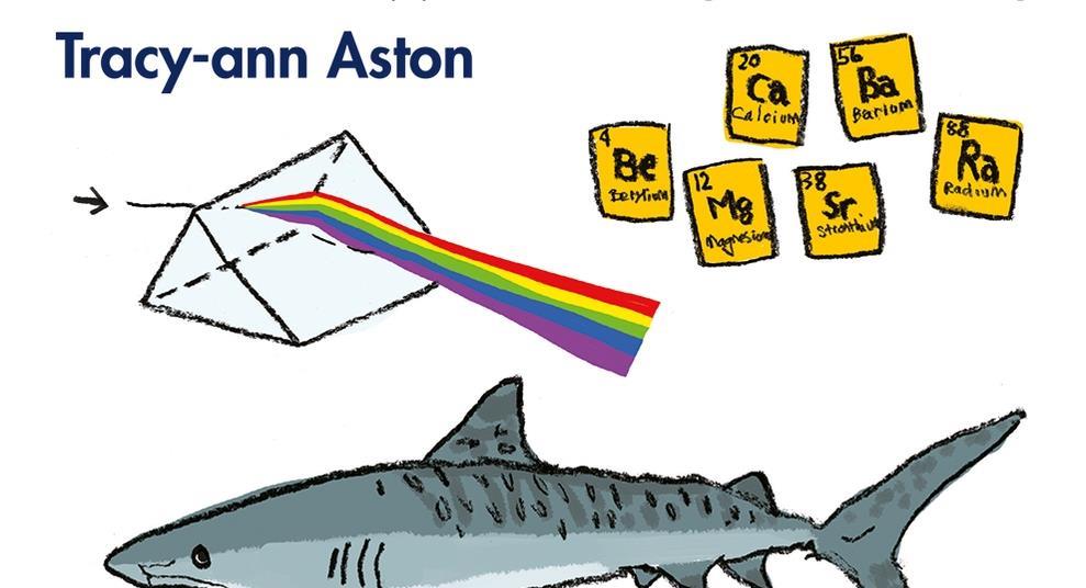 The really useful book of secondary science experiments | Review | RSC ...