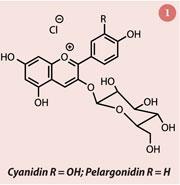 What's in your strawberries? | Feature | RSC Education