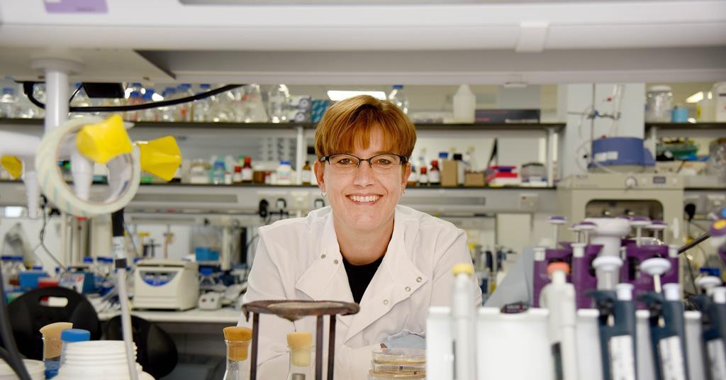 Athro Cyswllt, Prifysgol Abertawe | Job profile | RSC Education