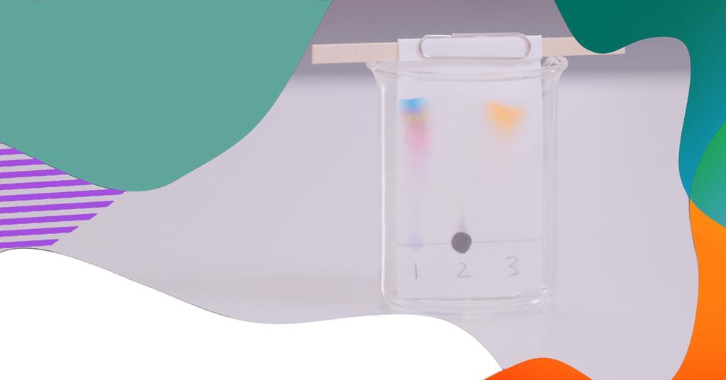 Paper chromatography | practical videos | 14–16 years | Practical video ...