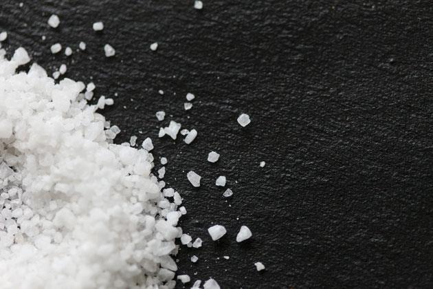 The Lion, the Wich and the Waller | Feature | RSC Education