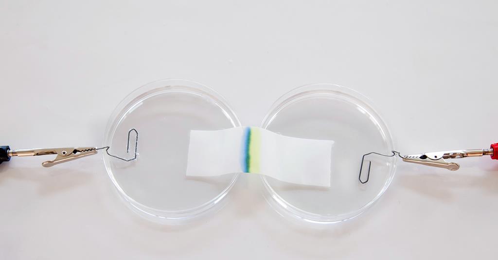 experiment 7.3 migration of ions | UK Science Technician Community