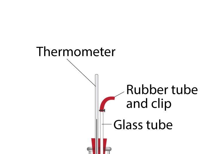 boiling point science experiment