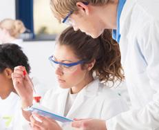 Work placements: a guide for undergraduate students | Resource | RSC ...