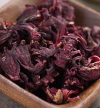 Harnessing solar energy with Grätzel cells | Feature | RSC Education