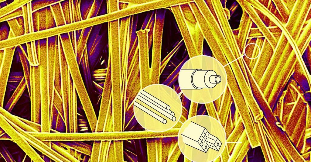 Paper conservation | Feature | RSC Education