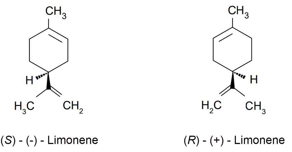 Extracting limonene from oranges | Class experiment | RSC Education