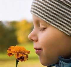 If it smells - it's chemistry | Feature | RSC Education