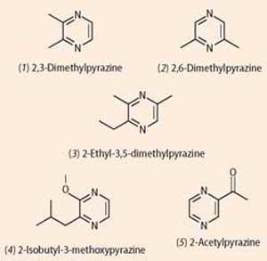 If it smells - it's chemistry | Feature | RSC Education