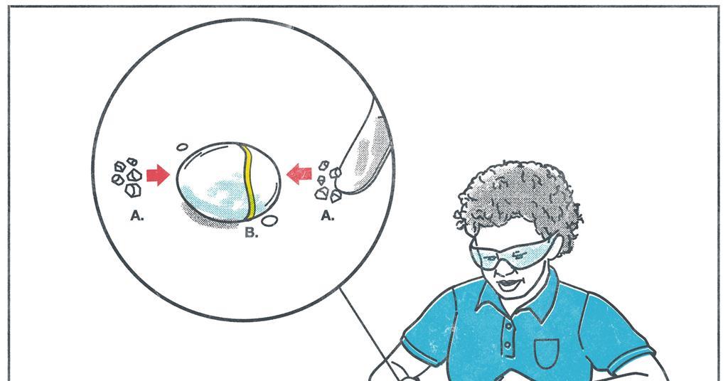 Explicitly teach learners how to make observations | Ideas | RSC Education