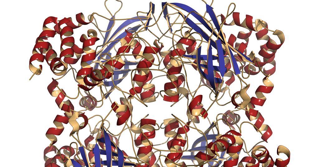 Catalase enzyme reactions | Resource | RSC Education