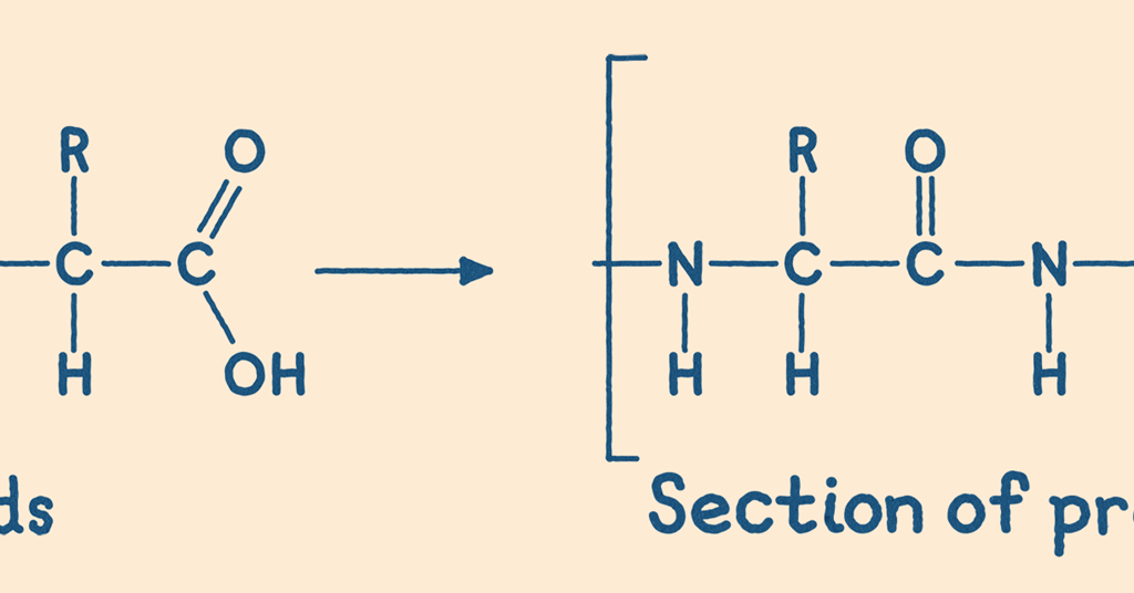 condensation polymerisation