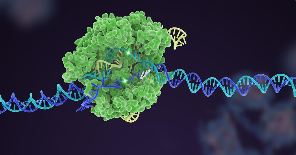 CRISPR: The cutting edge | Feature | RSC Education