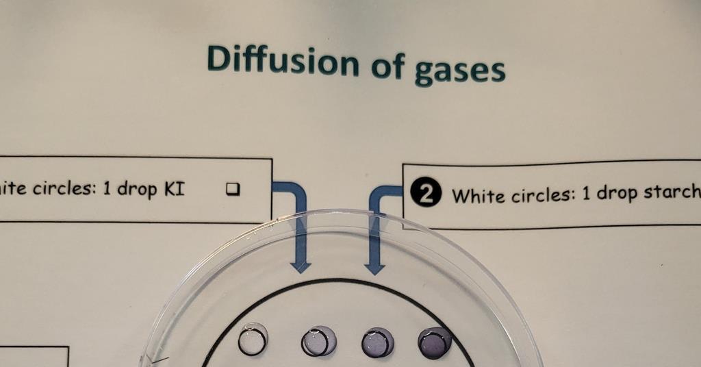 Microscale diffusion of a gas | 11–16 years | Class experiment | RSC ...