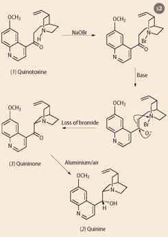 Jesuits' powder and quinine | Feature | RSC Education