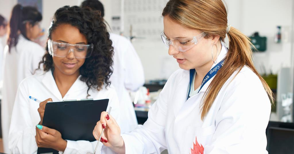 Mind the (gender) gap | Opinion | RSC Education