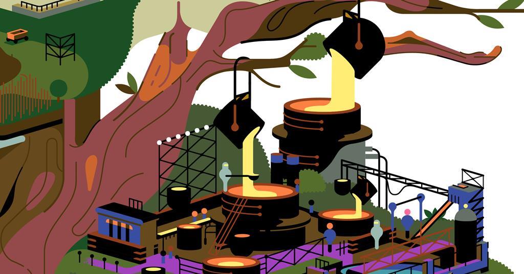 Phytomining: how to mine a tree | Feature | RSC Education