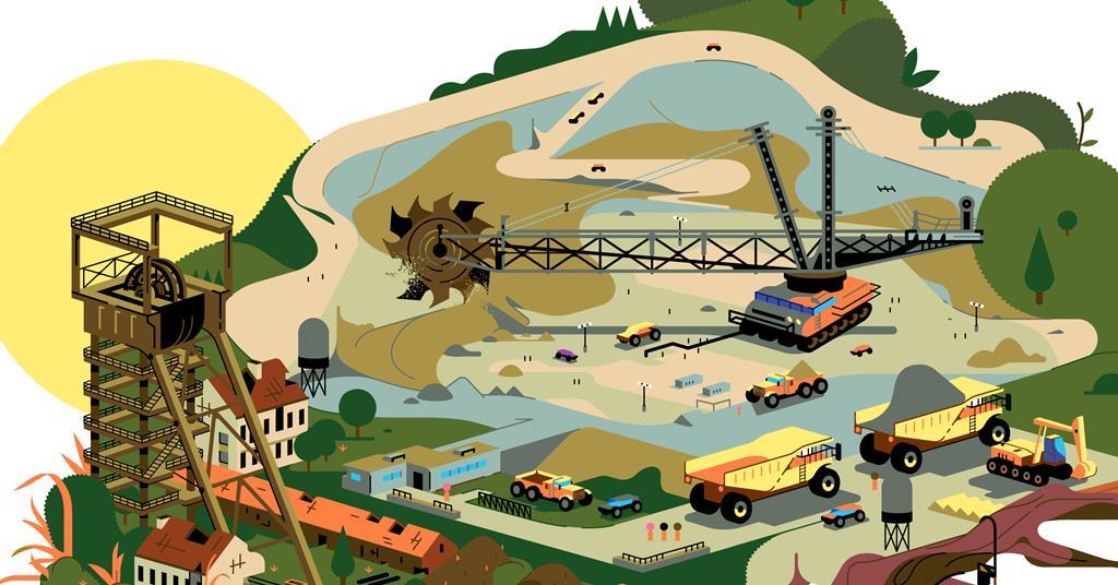 Phytomining: how to mine a tree | Feature | RSC Education