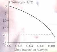 Making ice cream - it's physical chemistry | Feature | RSC Education