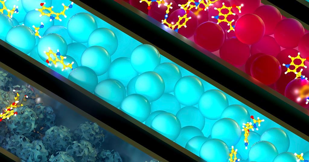 How To Teach Chromatography At Post 16 Cpd Article Rsc Education