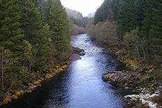 A dip in the dribble: river pollution | context and problem-based ...