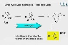 Chemistry Vignettes: Mechanisms of Esters/Amides | Resource | RSC Education