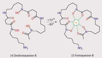Microbial iron scavengers | Feature | RSC Education
