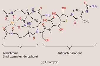 Microbial iron scavengers | Feature | RSC Education