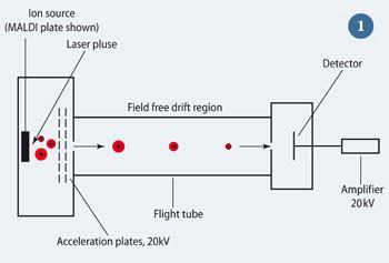 Modern mass spectrometry | Feature | RSC Education