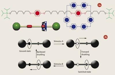 Molecular computers - tomorrow's technology? | Feature | RSC Education