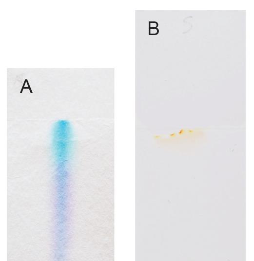 Practical chromatography | CPD article | RSC Education