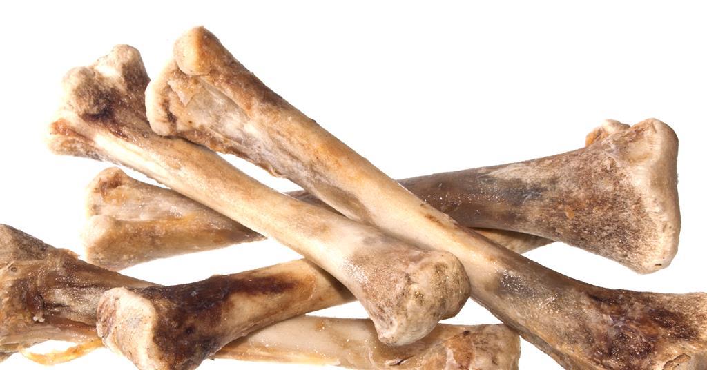 Investigating a natural composite | chicken bone | Resource | RSC Education