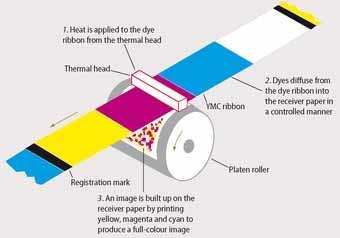 Printing on plastic | Feature | RSC Education